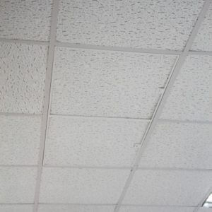 Exposed Grid Access Panel - The Access Panel Company