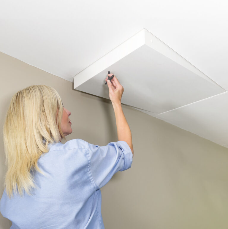 Invisible Loft Hatch